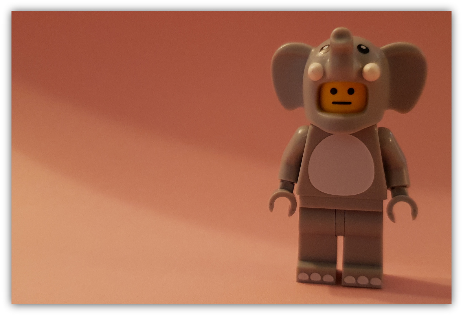 Compatibility of LEGO: Does it “Play Well” with others?