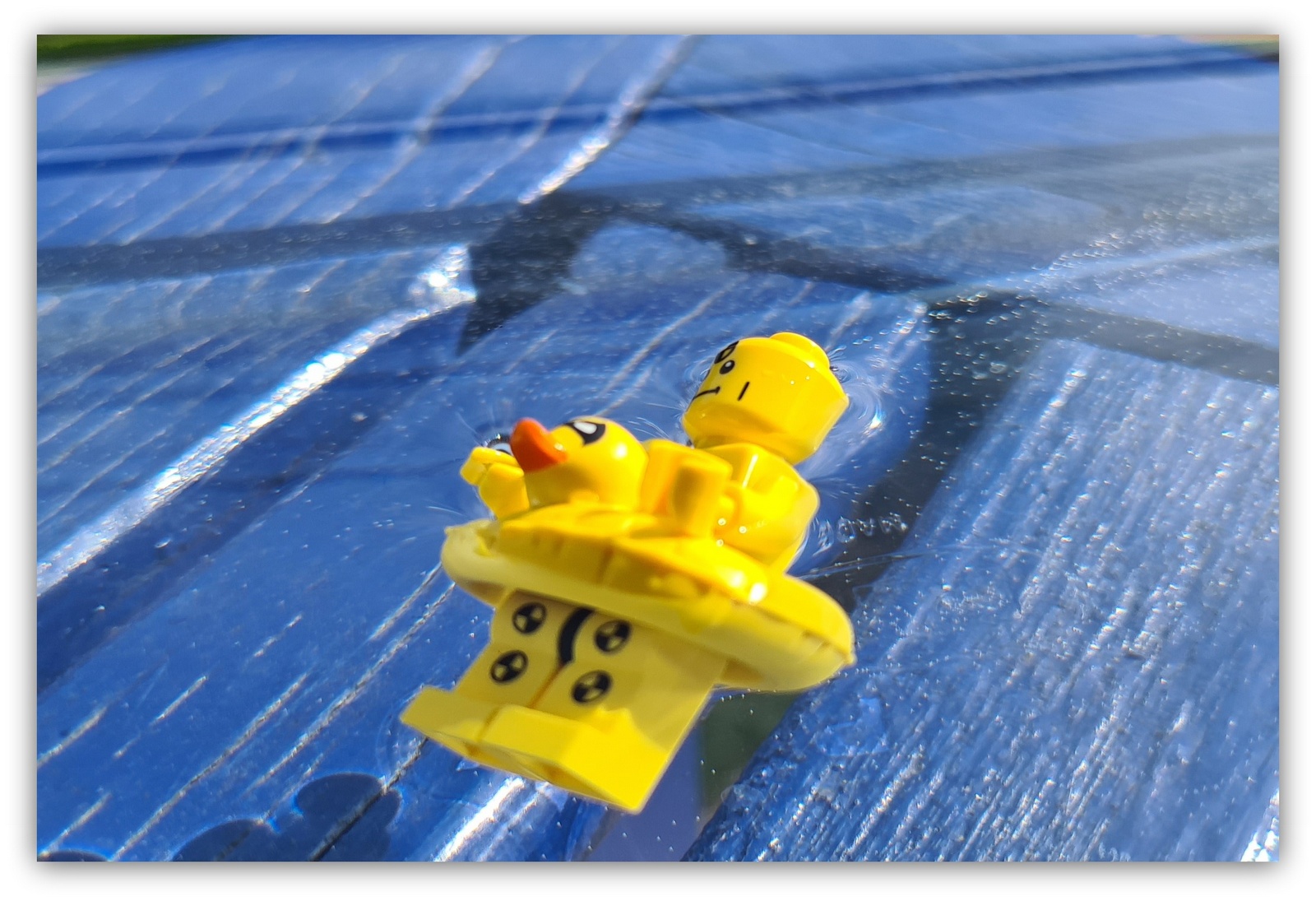 Does LEGO Float: Experiments with Bricks and Minifigures